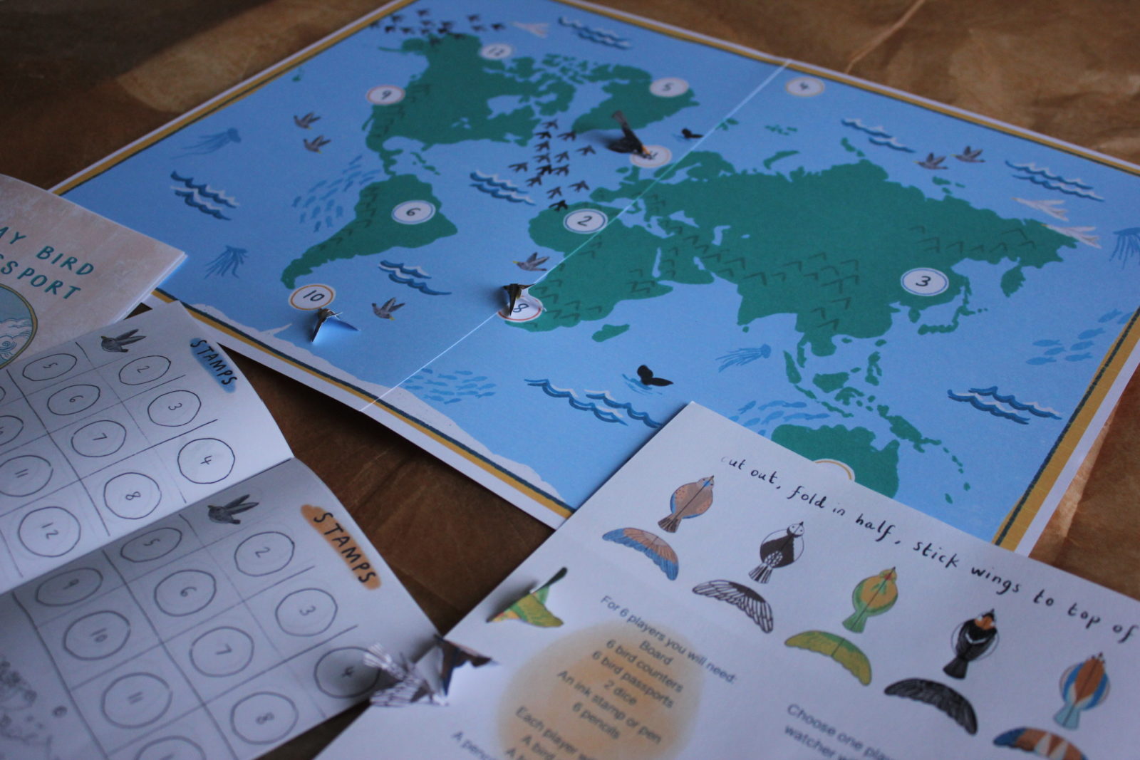 November's Club - Bird Field Guide - Showit Blog