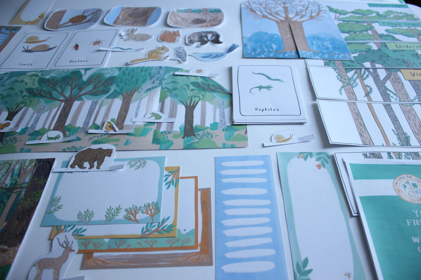 December's Club- Woodland Creatures Field Guide - Showit Blog