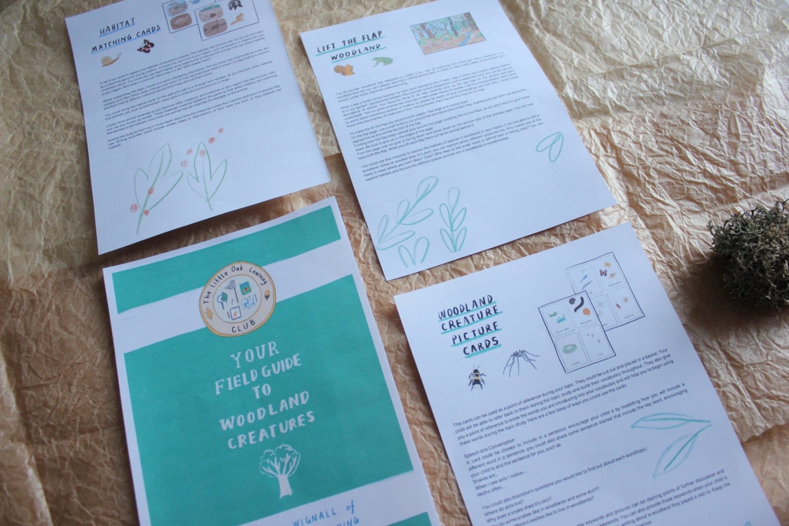 December's Club- Woodland Creatures Field Guide - Showit Blog