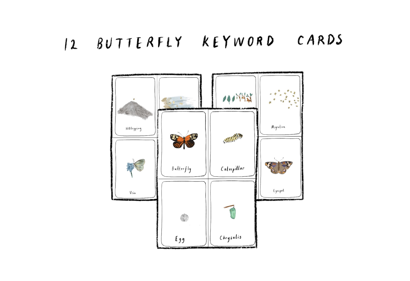 March's Field Guide: Butterflies - Showit Blog