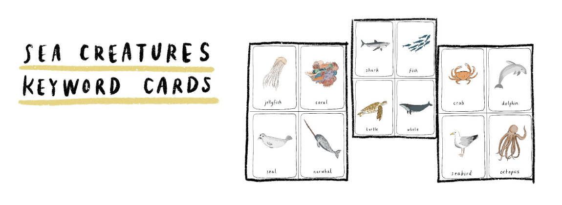 April's Field Guide: Sea Creatures - Showit Blog