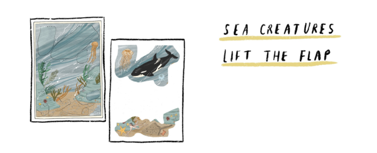 April's Field Guide: Sea Creatures - Showit Blog