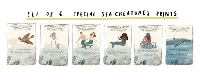 April's Field Guide: Sea Creatures - Showit Blog