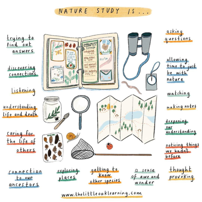 Nature Journals - Showit Blog