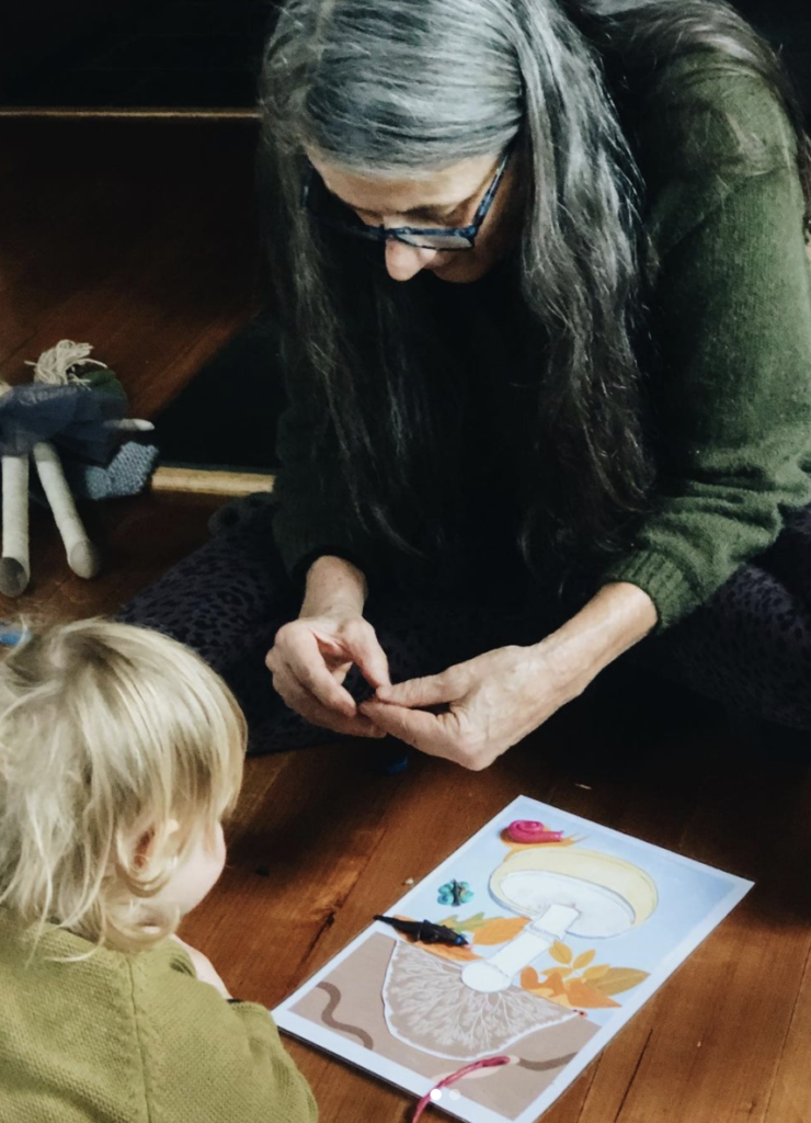 A Year Of Field Guides - Showit Blog