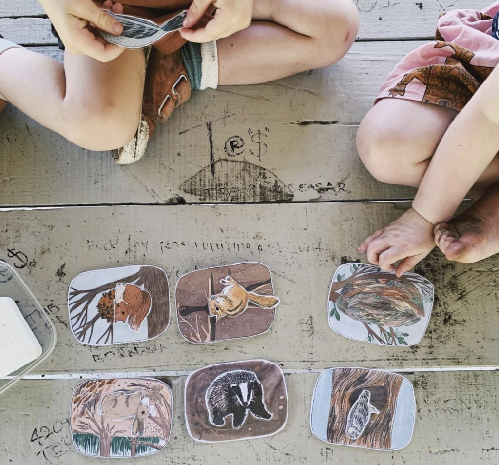 A Year Of Field Guides - Showit Blog