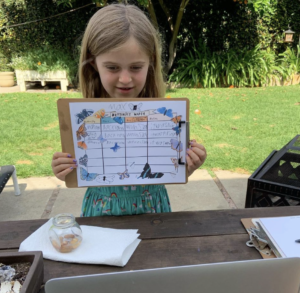 A Year Of Field Guides - Showit Blog