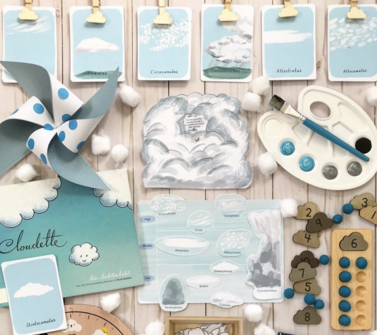 A Year Of Field Guides - Showit Blog