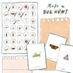 Five Outdoor Activities: Studying Insects - Showit Blog