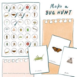 Five Outdoor Activities: Studying Insects - Showit Blog