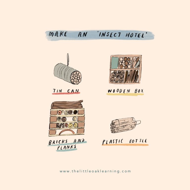 Five Outdoor Activities: Studying Insects - Showit Blog