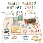 Five Indoor Activities for Studying Insects - Showit Blog
