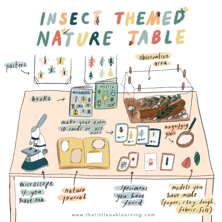 Five Indoor Activities for Studying Insects - Showit Blog