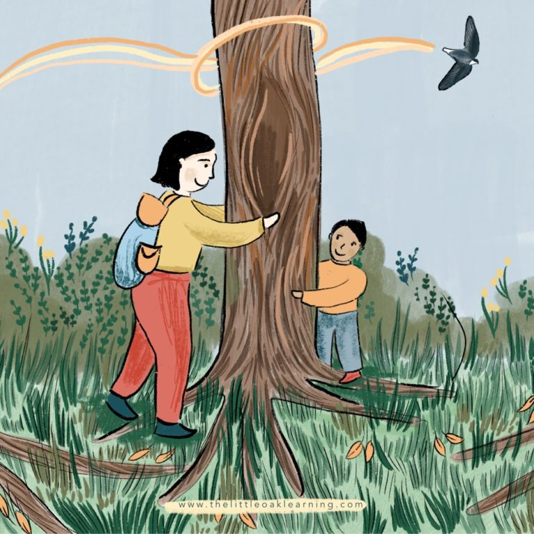 FIVE OUTDOOR ACTIVITIES FOR STUDYING TREES - Showit Blog