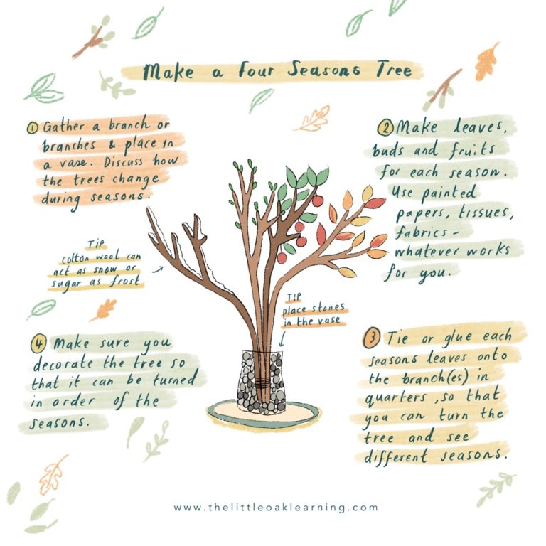 FIVE INDOOR ACTIVITIES FOR STUDYING TREES - Showit Blog