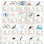 Birds Indoor Activities - Showit Blog