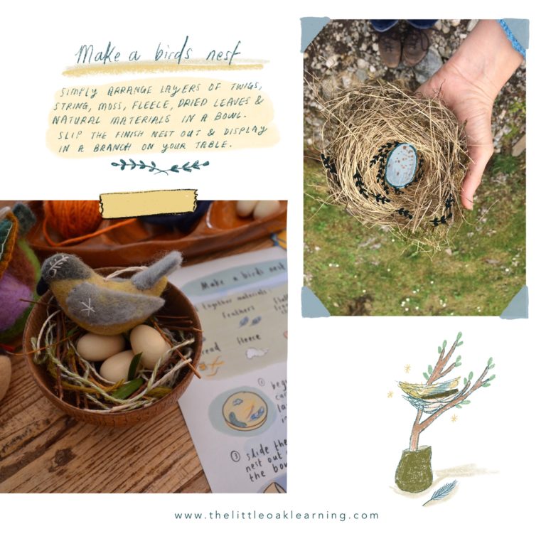 Birds Indoor Activities - Showit Blog