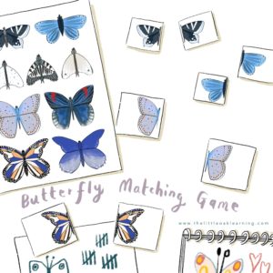 Butterfly Indoor Activities - Showit Blog