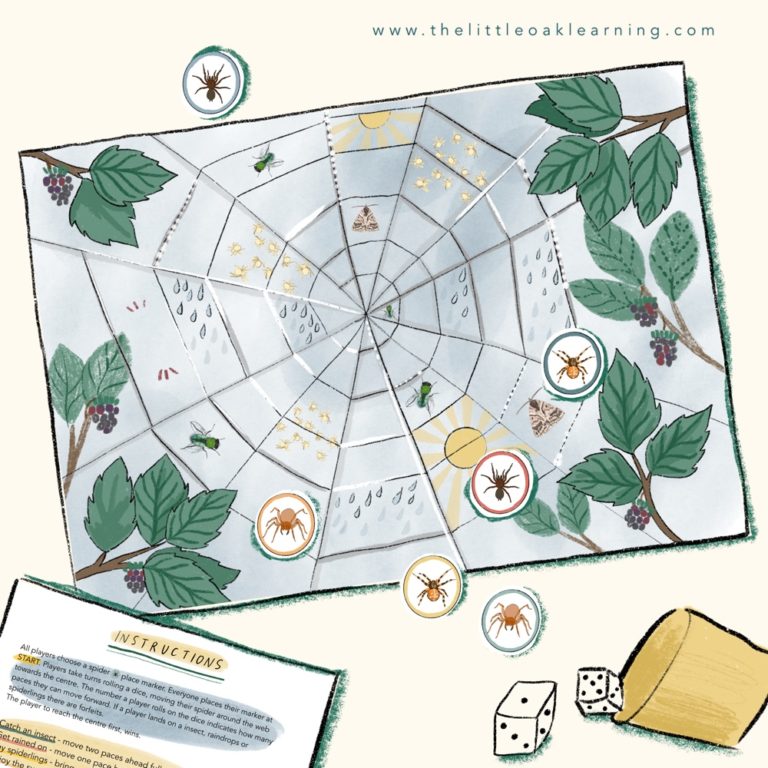 Spider Activities - Showit Blog